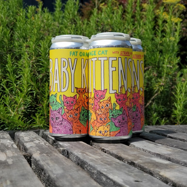 FAT ORANGE CAT BABY KITTENS STRATA HAZY IPA | MARINA MARKET