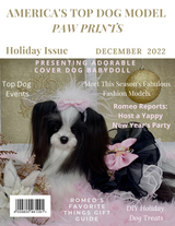 Luxury clothes & accessories | America's Top Dog Models (R)