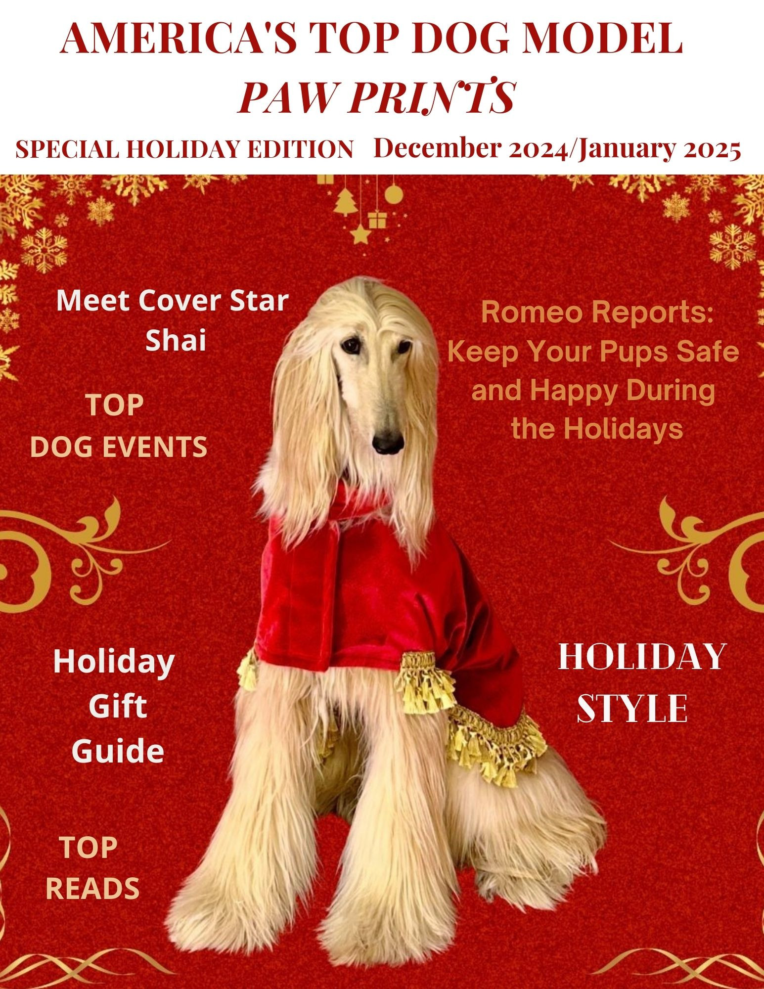 Luxury clothes & accessories | America's Top Dog Models (R)