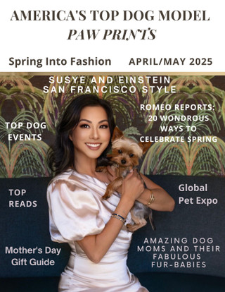 Luxury clothes & accessories | America's Top Dog Models (R)