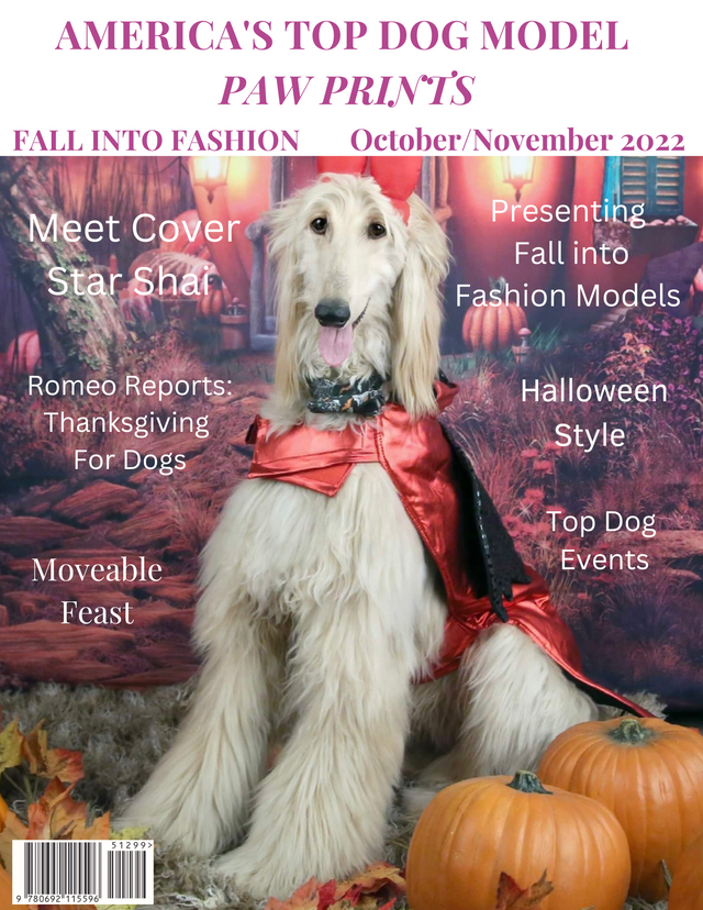Luxury Clothes Accessories America s Top Dog Models R luxury-clothes-accessories-america-s-top-dog-models-r
