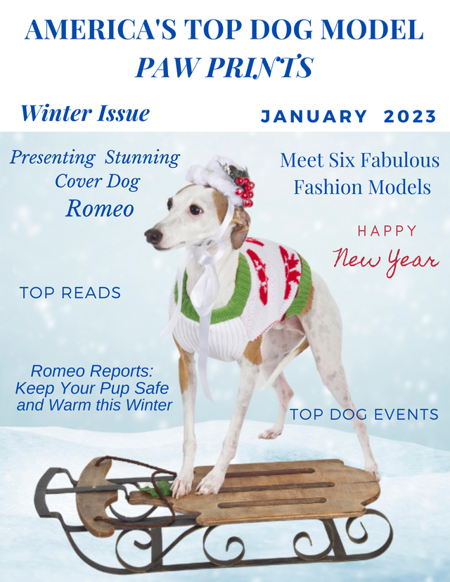 Luxury clothes & accessories | America's Top Dog Models (R)