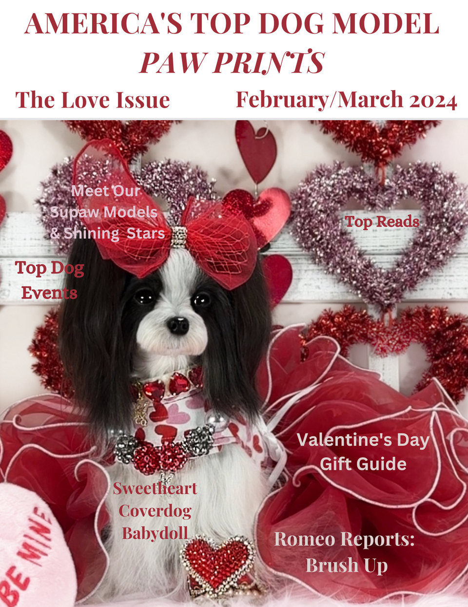 Luxury clothes & accessories | America's Top Dog Models (R)