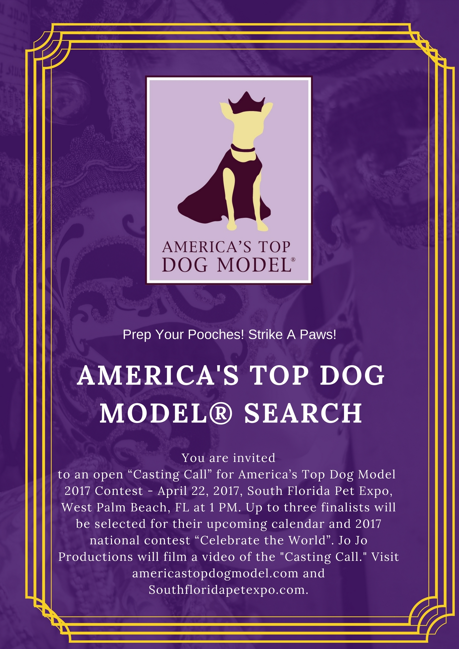 Dog Model Search - Americas Top Dog Model (R)