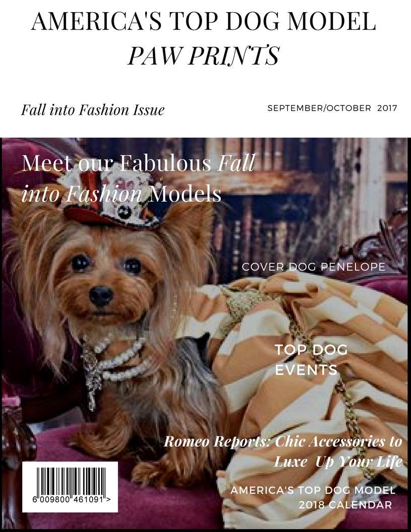 Fall into Fashion - Americas Top Dog Model (R)