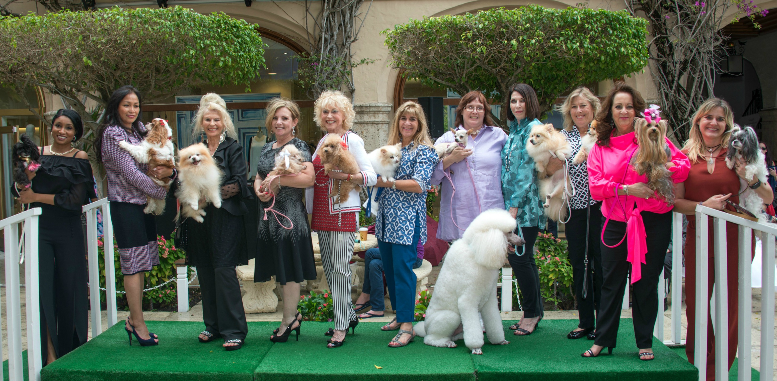 Top Dogs Strut the Runway for Charity - Americas Top Dog Model (R)