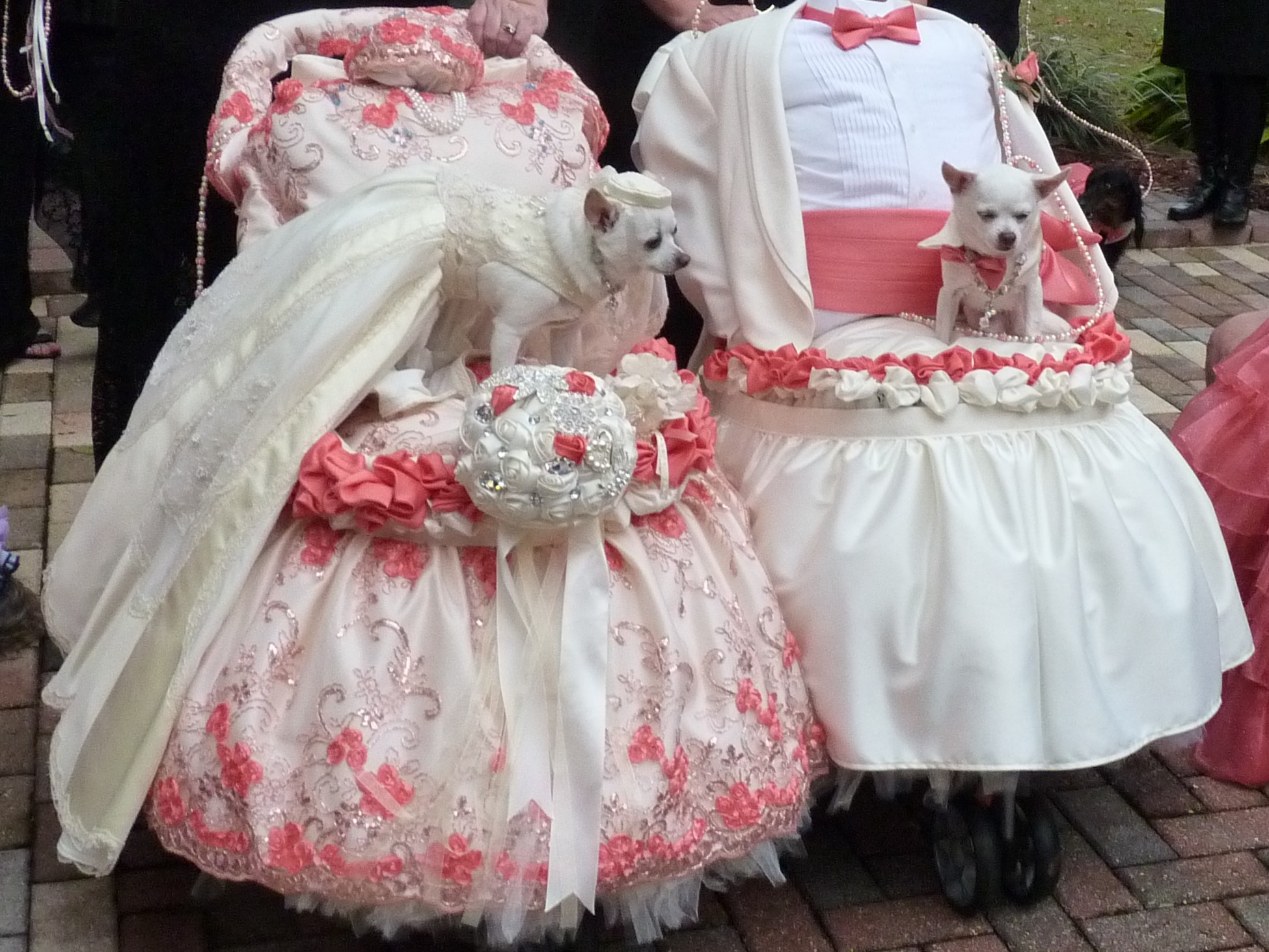 Puppy Love Wedding - Americas Top Dog Model (R)
