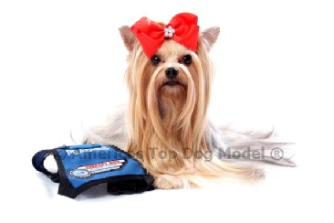 Meet Miss America Top Dog Model (R) 2015 - Americas Top Dog Model (R)