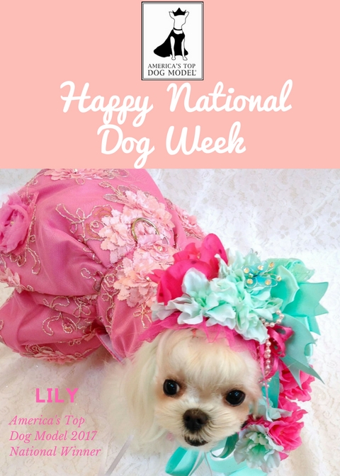 Happy National Dog Week - Americas Top Dog Model (R)