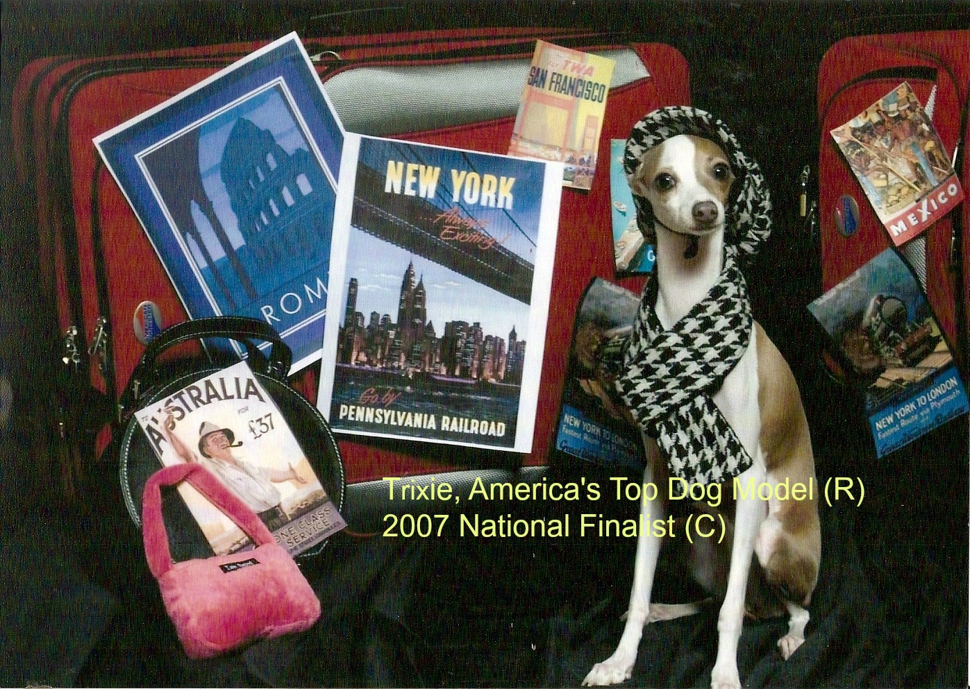 America's Top Dog Model 2017 Contest - Americas Top Dog Model (R)