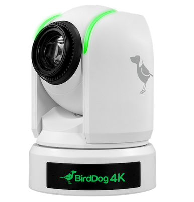 BirdDog BDP4KWHITE P4K UHD 4K PTZ Camera with NDI, HDMI & 6G SDI Output