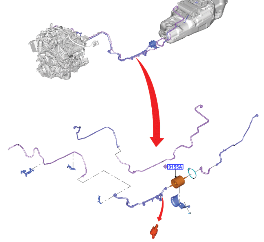 Ranger Raptor Next Gen Fuel Filter GENUINE FORD - Focus On Performance