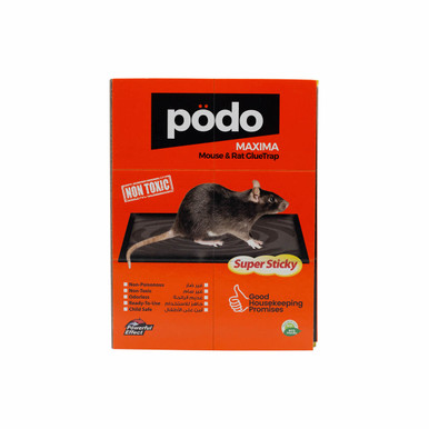 PODO Maxima Mouse & Rat Glue trap 027132991822 - Apex Trading Company WLL