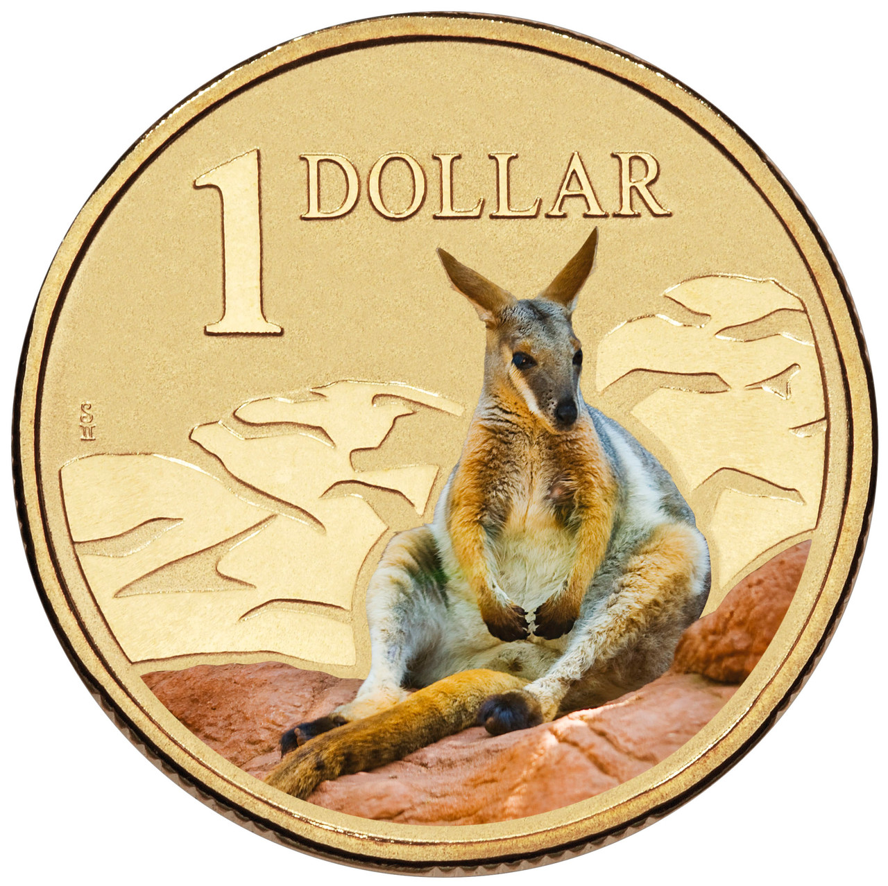 2008 $1 Land Series Rock Wallaby Coloured Uncirculated Coin - Town Hall ...