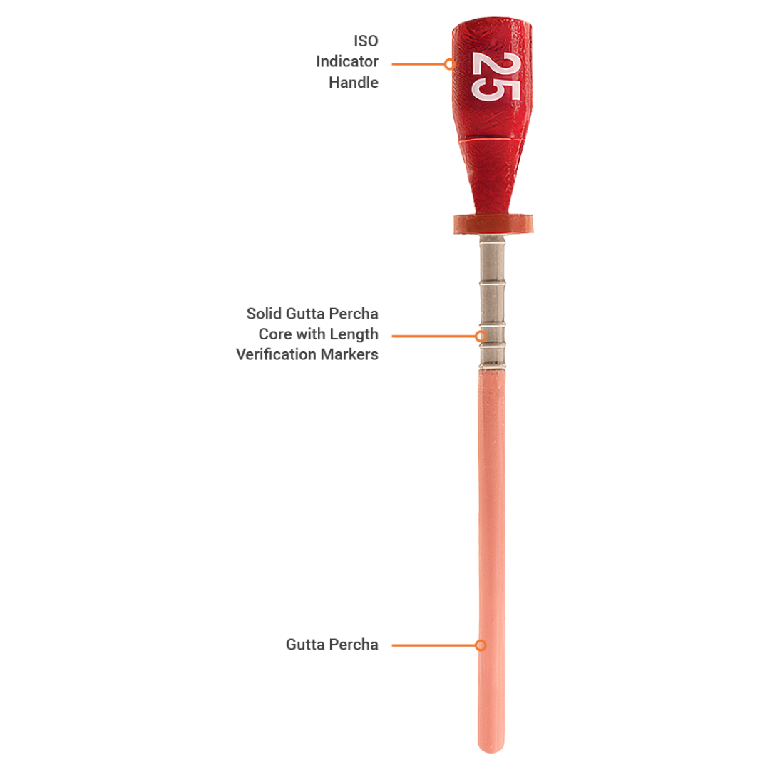 SimpliCore Gutta Percha Carrier Obturators and Verifiers