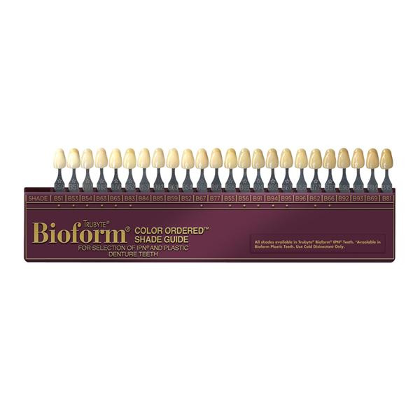Dentsply Bioform IPN Shade Guides
