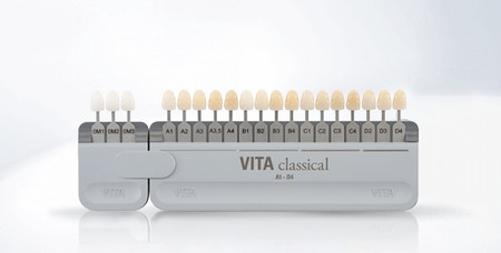 Vita Shade Guides