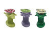 Zooby Prophy Paste