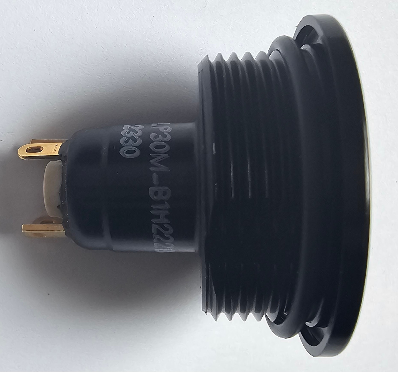 Sealed Illuminated Low Profile Dome Push Button, Normally Open, 12 Volt ...