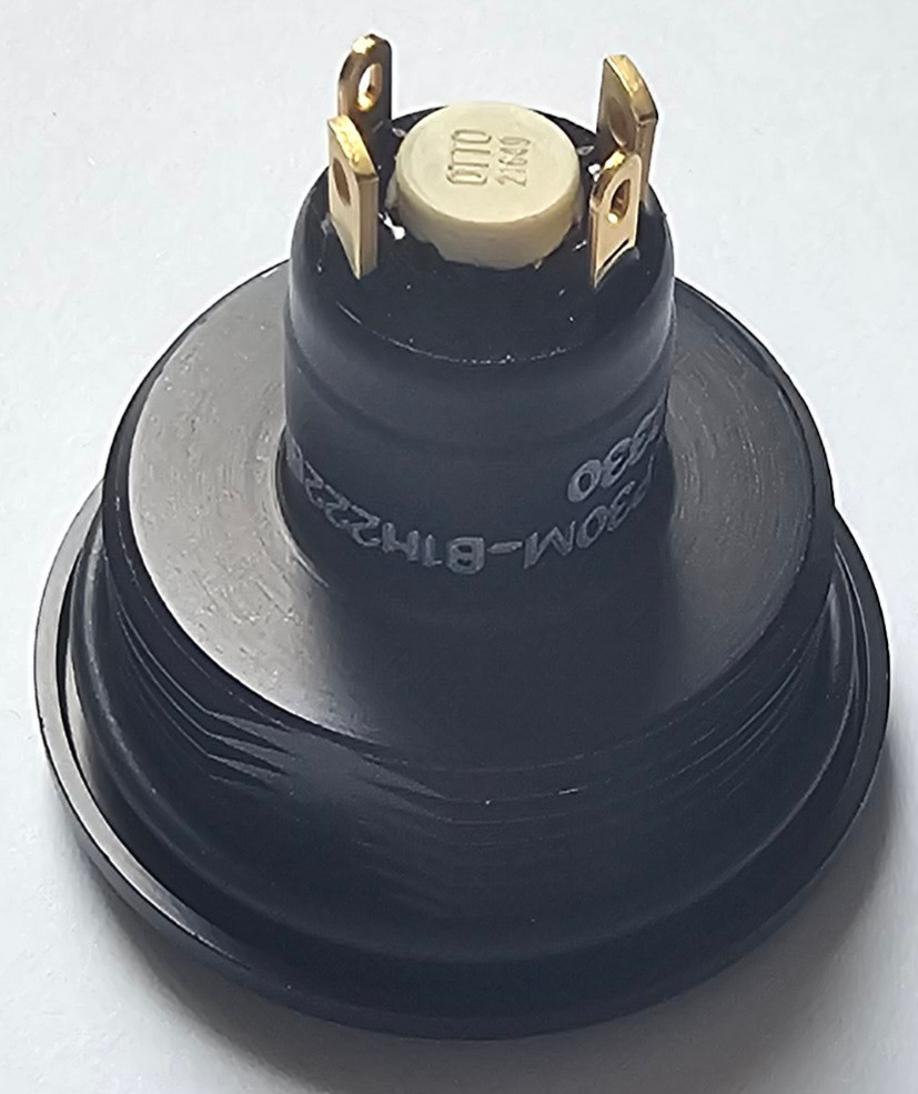 Sealed Illuminated Low Profile Dome Push Button, Normally Open, 12 Volt ...