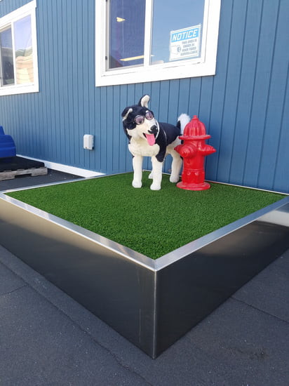 DOG RELIEF AREA
