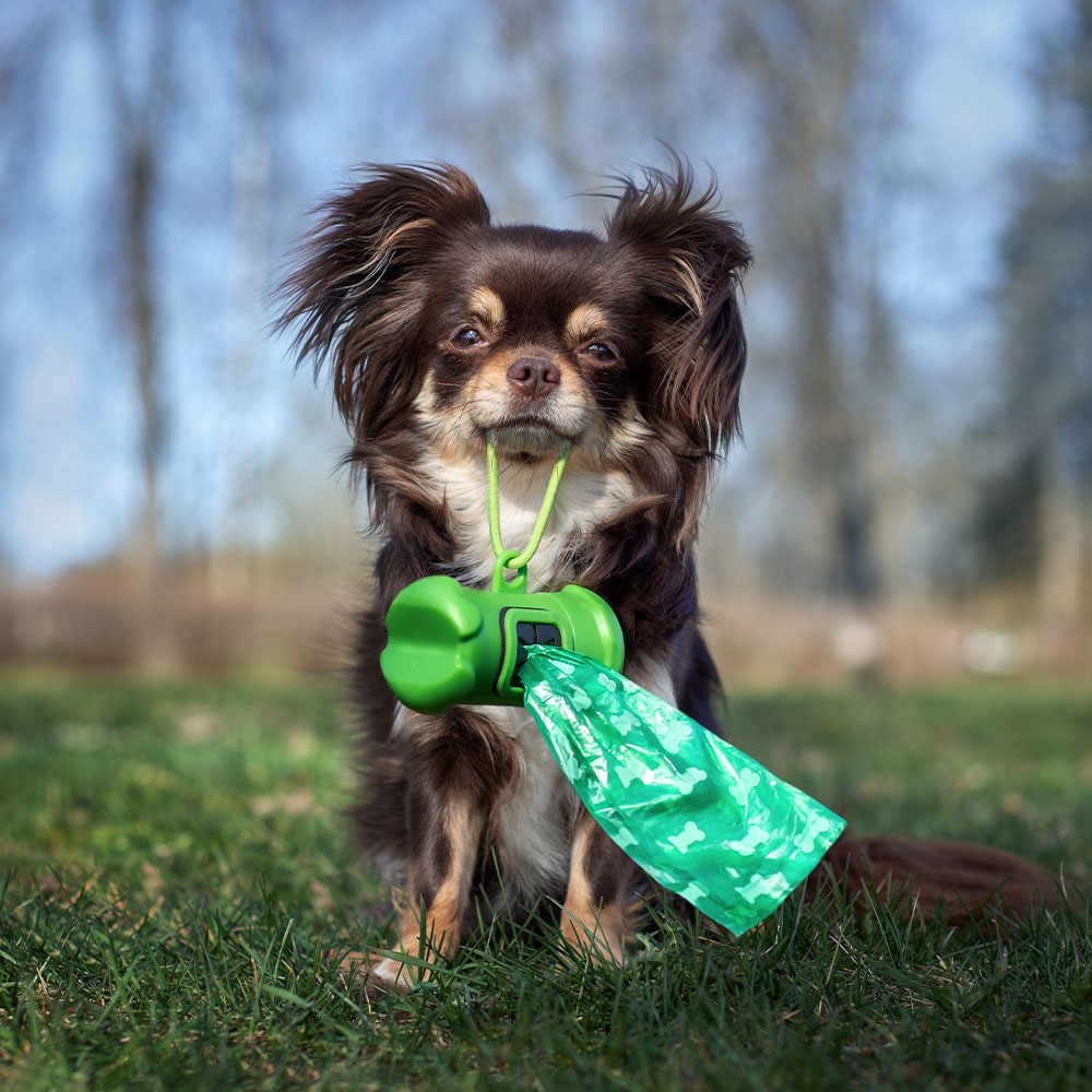 DOG POOP FACTS - Dog Waste Depot