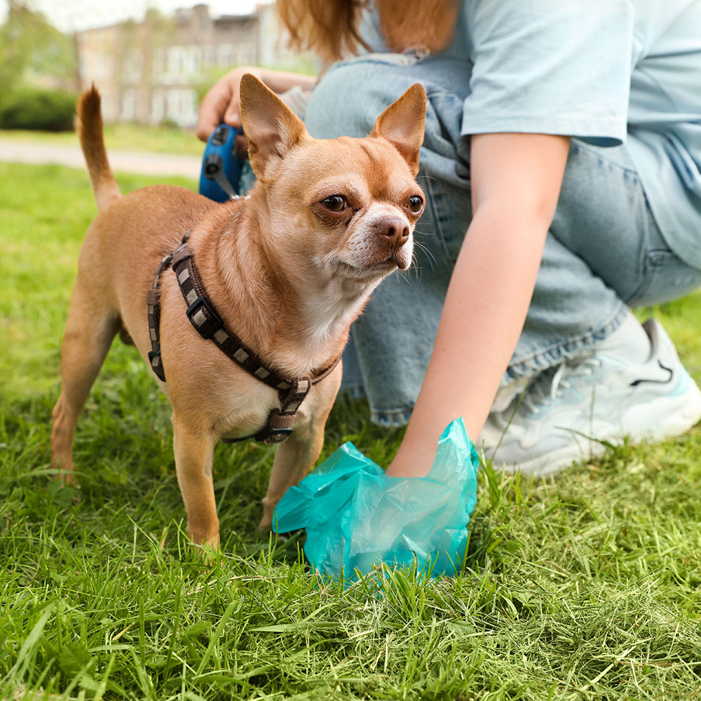 How To Encourage Pick Up Compliance - Dog Waste Depot