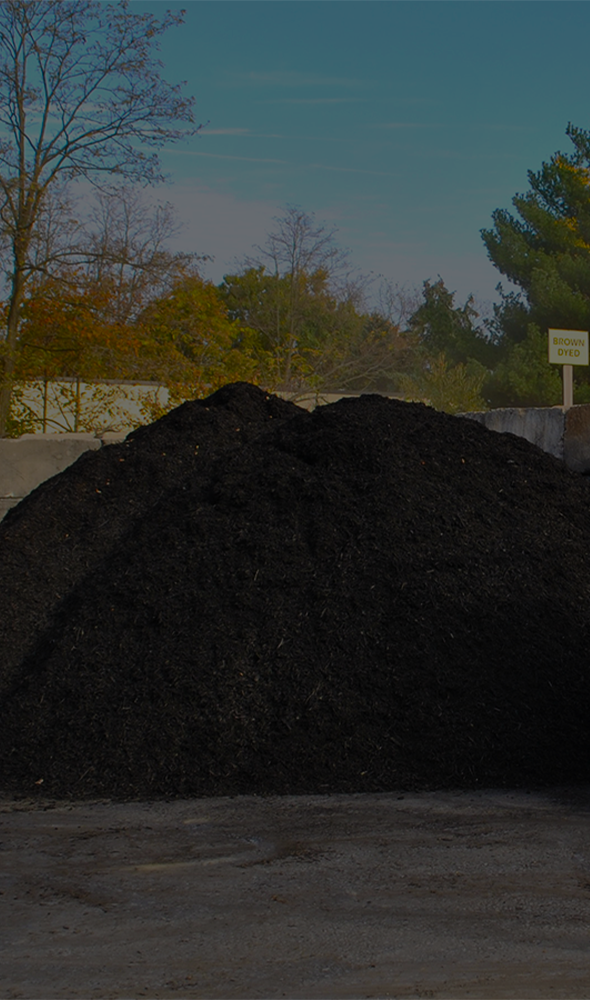 Mulch and More