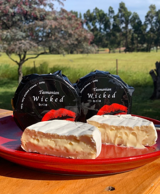 Products - Page 1 - Wicked Cheese