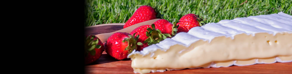 Wicked Cheese | Tasmania | gourmet cheeses | Richmond | cheesemaker