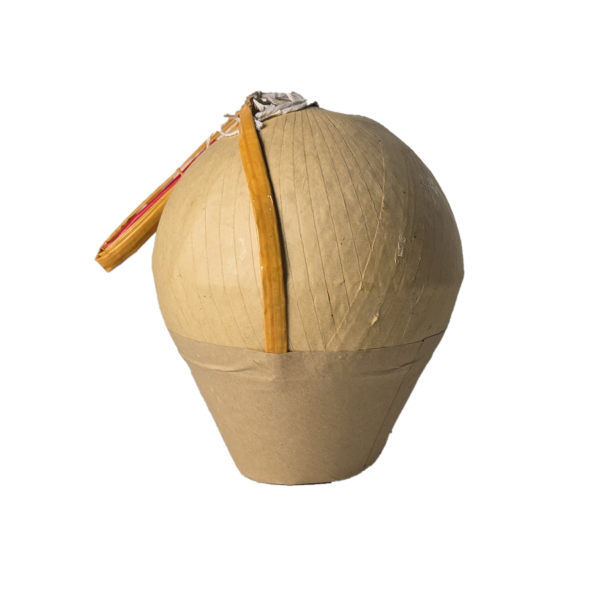 8" GOLD TI WILLOW SHELLS IN SHELL W/ BROCADE TAIL