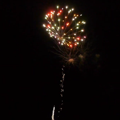 36 SHOT 2.5" COLOR PEONY - RKM Fireworks Co.