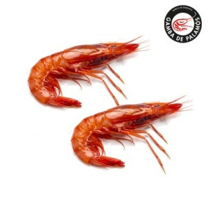 Mediterranean Red Shrimp - 20/25 Wild - Frozen - Chef's Choice ...