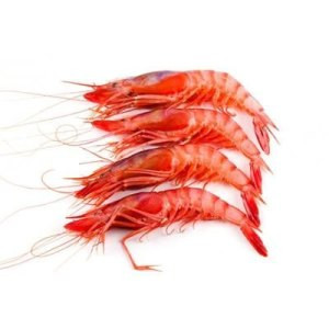Carabineros Shrimp - U10 Wild - Frozen - Chef's Choice Specialty Foods