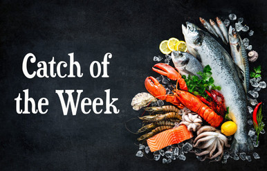 Catch of the Week - Call for Availability