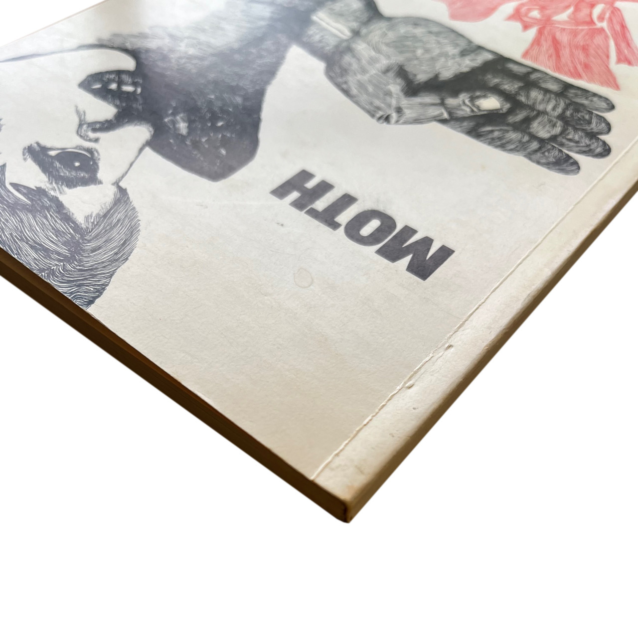 1970 Stephen King, Tabitha Spruce, George MacLeod, Bruce Holsapple ...