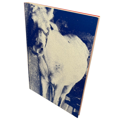 Stephen King "My Pretty Pony" Slipcased Signed First Edition, First ...