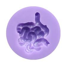 Human Organs|Small Intestines Silicone Mold