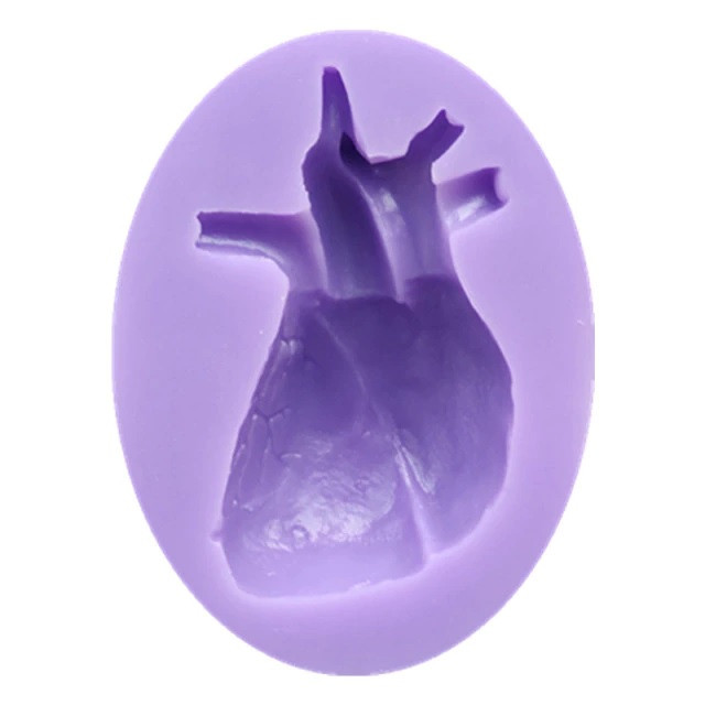 Human Organs|Heart Silicone Mold