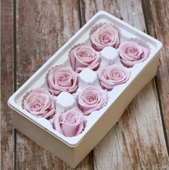 Dried and Preserved Eternal Roses 8pk - Dusk Pink