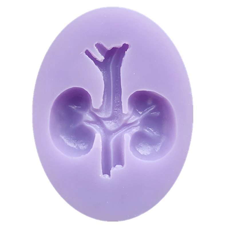 Human Organs|Kidneys Silicone Mold