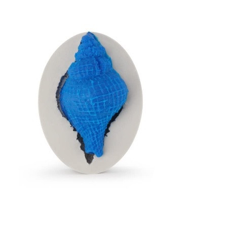 Conch Shell Silicone