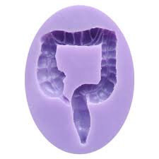 Human Organs|Large Intestines Silicone Mold