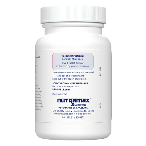 Proviable-DC Digestive Health Chewable Tablets for Dogs