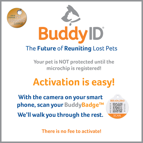 Buddy ID Buddy System Complete Protection Kit w/Buddy ID Microchip ...
