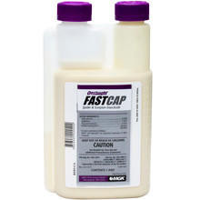 Onslaught FastCap Spider & Scorpion Insecticide 16 Oz— Buy Professional ...