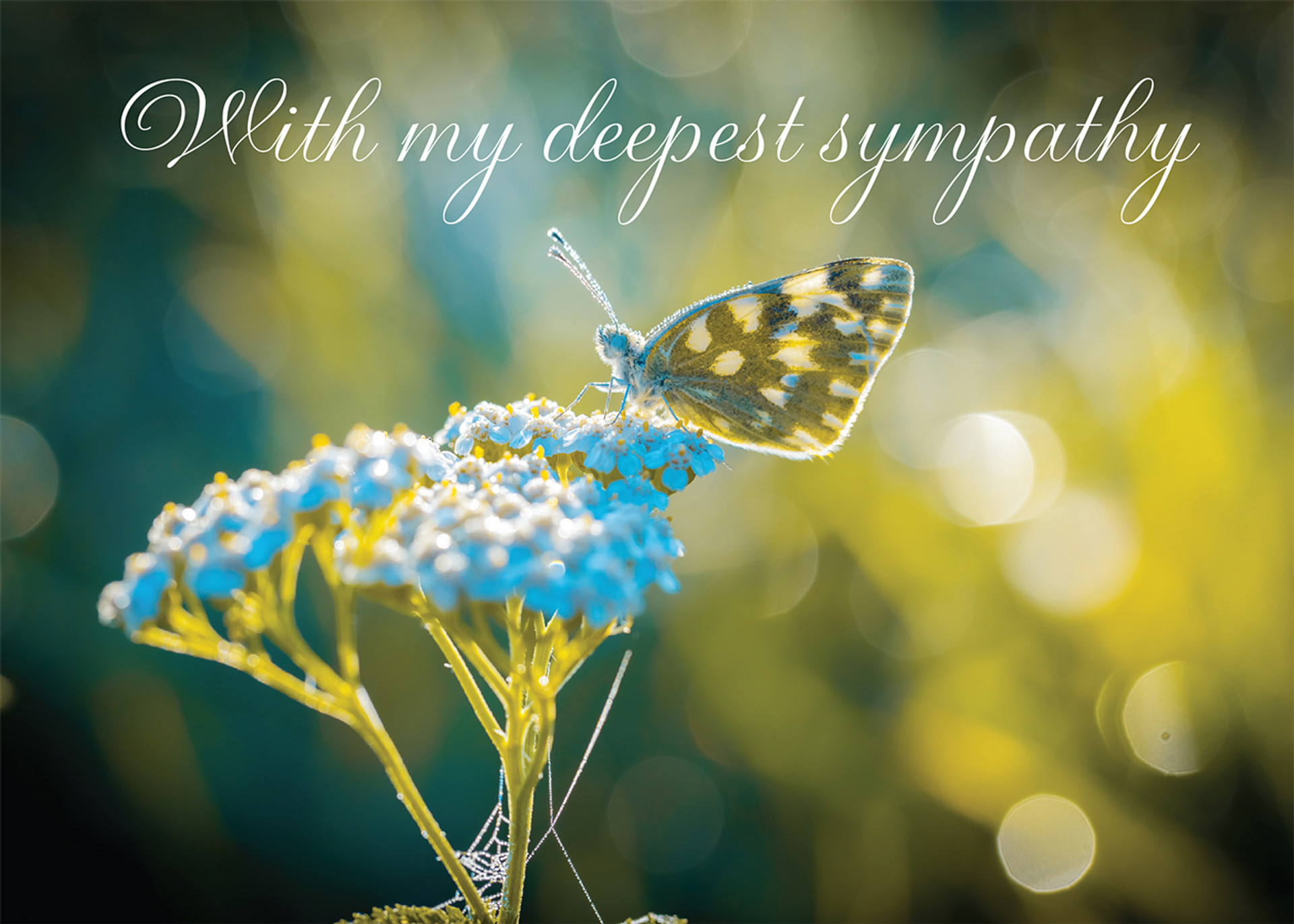 With My Deepest Sympathy Card Centering Resources with-my-deepest-sympathy-card-centering-resources