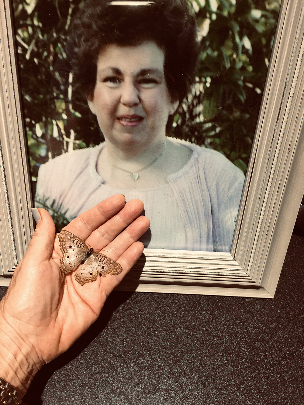 THE POWER OF THE BUTTERFLY - Centering Grief Resources