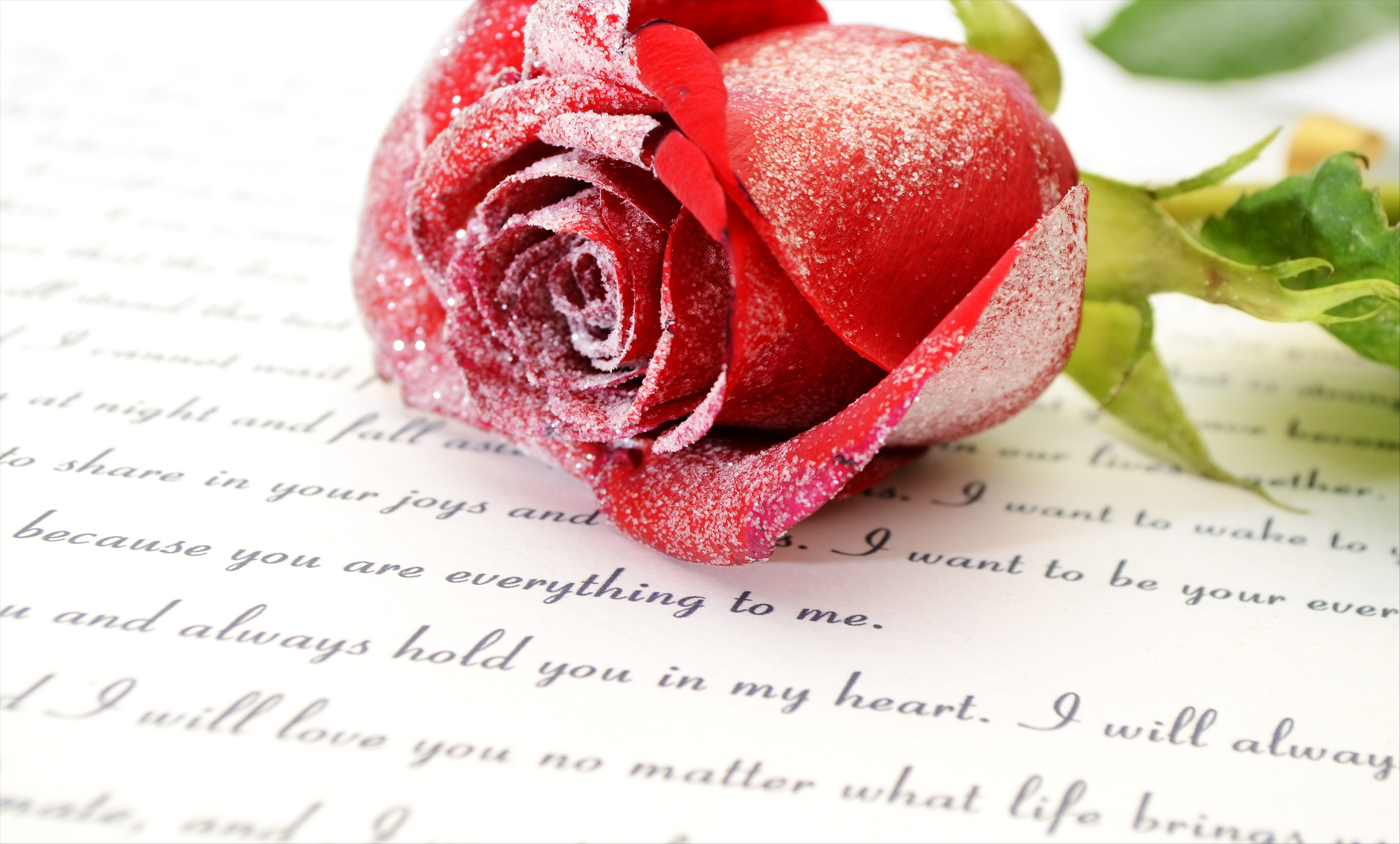 Last Love Letters - Centering Grief Resources