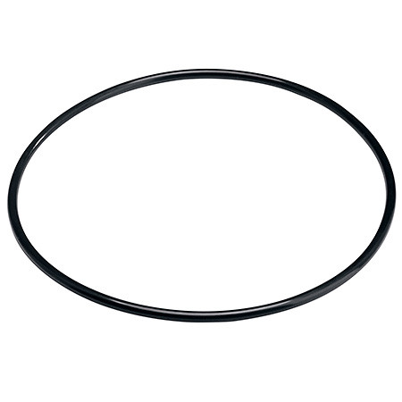 Pentair 151121 O-ring for Slimline Filter Housings - KlearWaterStore.com